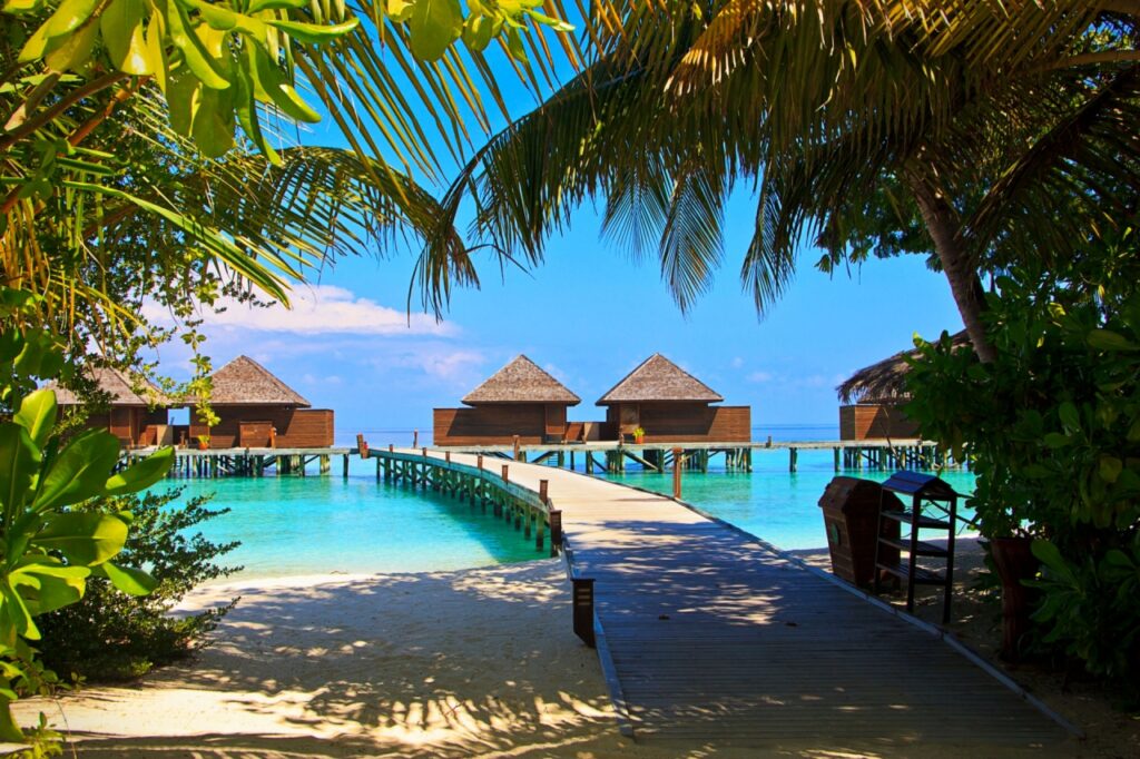 „Sunt proști ca noaptea”. Românii care merg în vacanță în Zanzibar ...